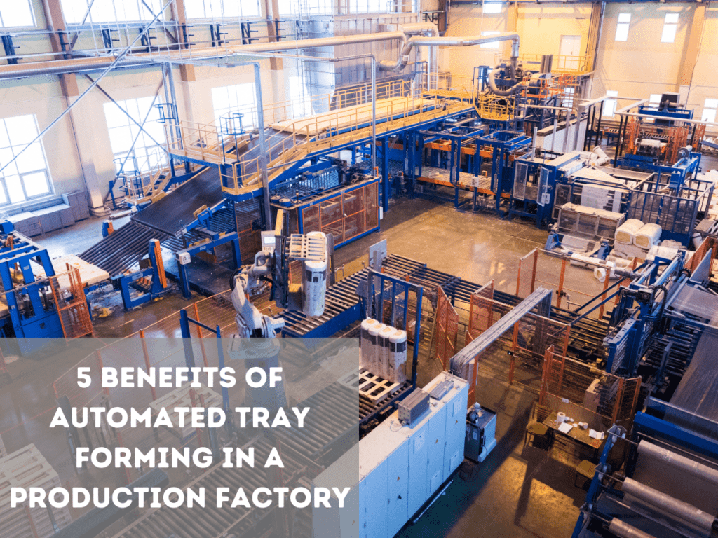 5 Top Benefits of Automated Tray Forming in a Production Factory ...